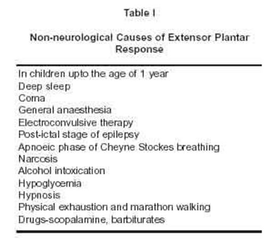 Babinski Reflex Pathway